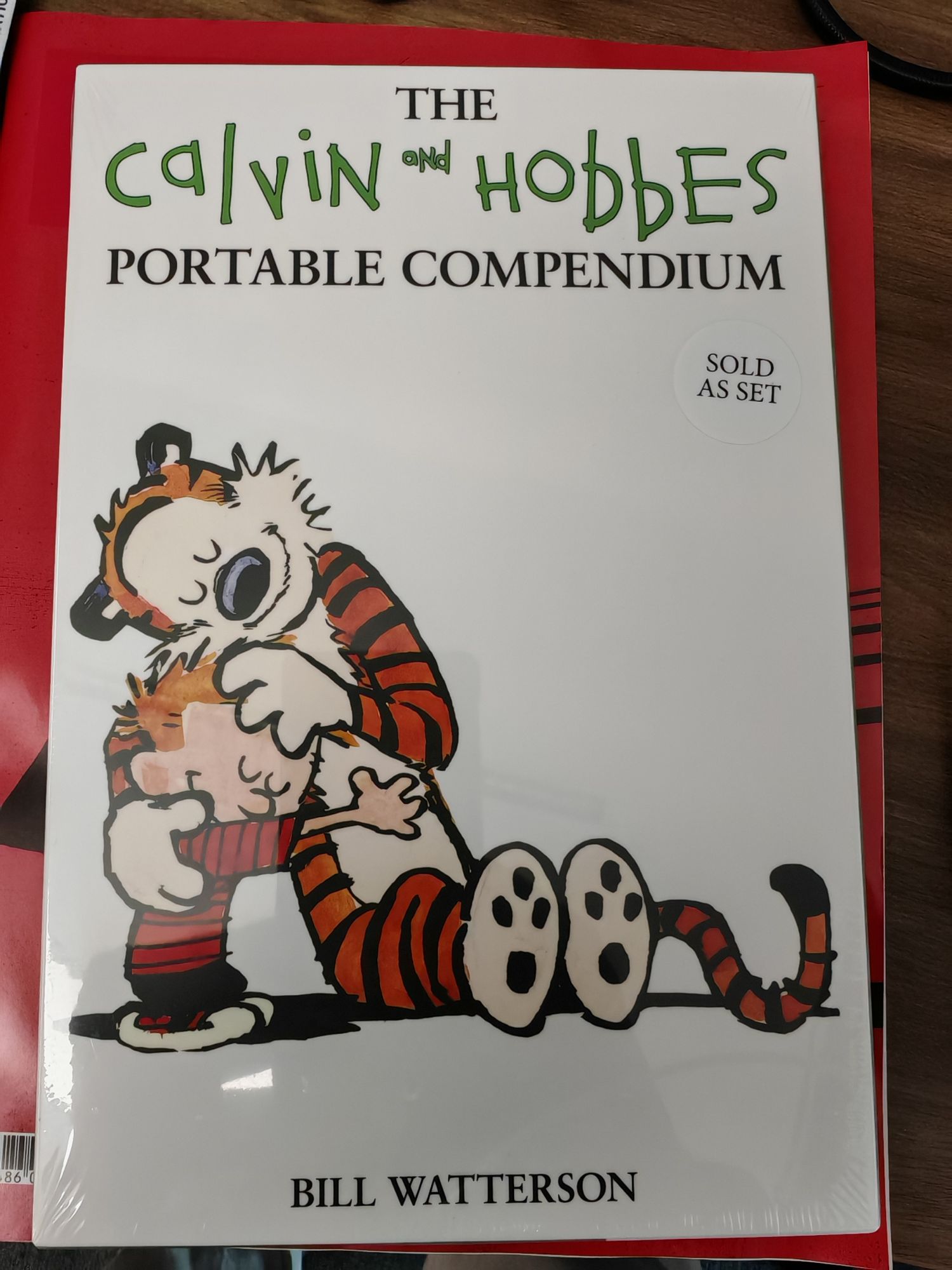 Calvin and Hobbes – daily musings